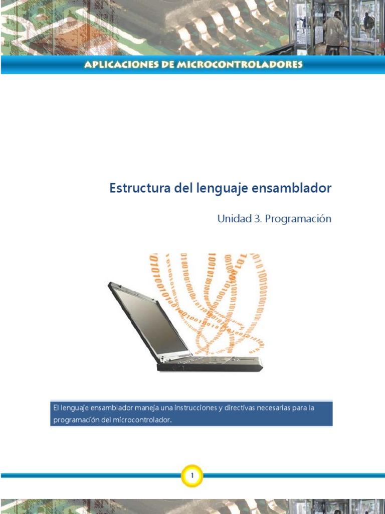 Estructura Del Lenguaje Assembler | PDF | Lenguaje ensamblador | Programa de computadora