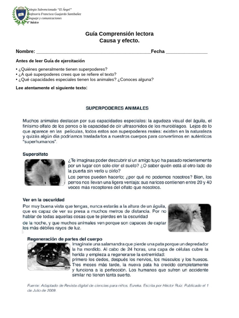 Comprensión Lectora Causa y Efecto N°6 | PDF