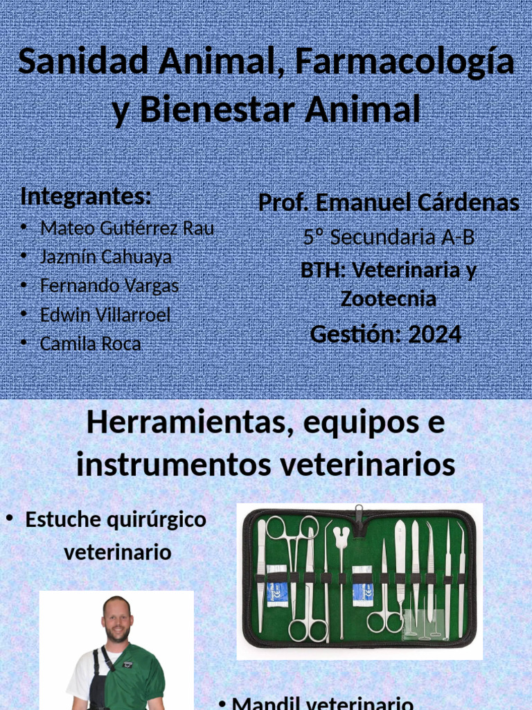 Exposicion BTH | PDF | Farmacología | Influenza