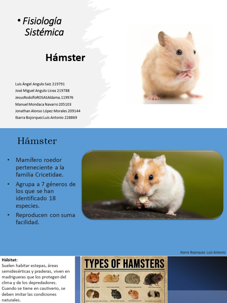Fisiología y manejo del hámster | PDF | Zoología