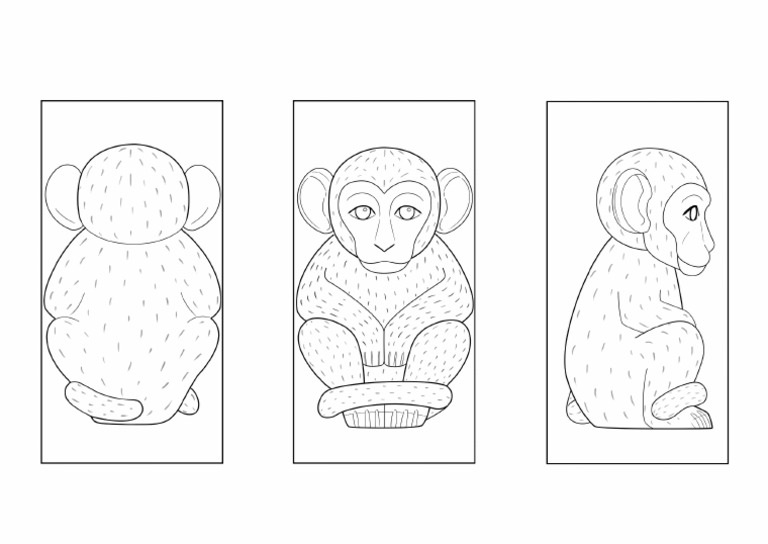 Monkey | PDF