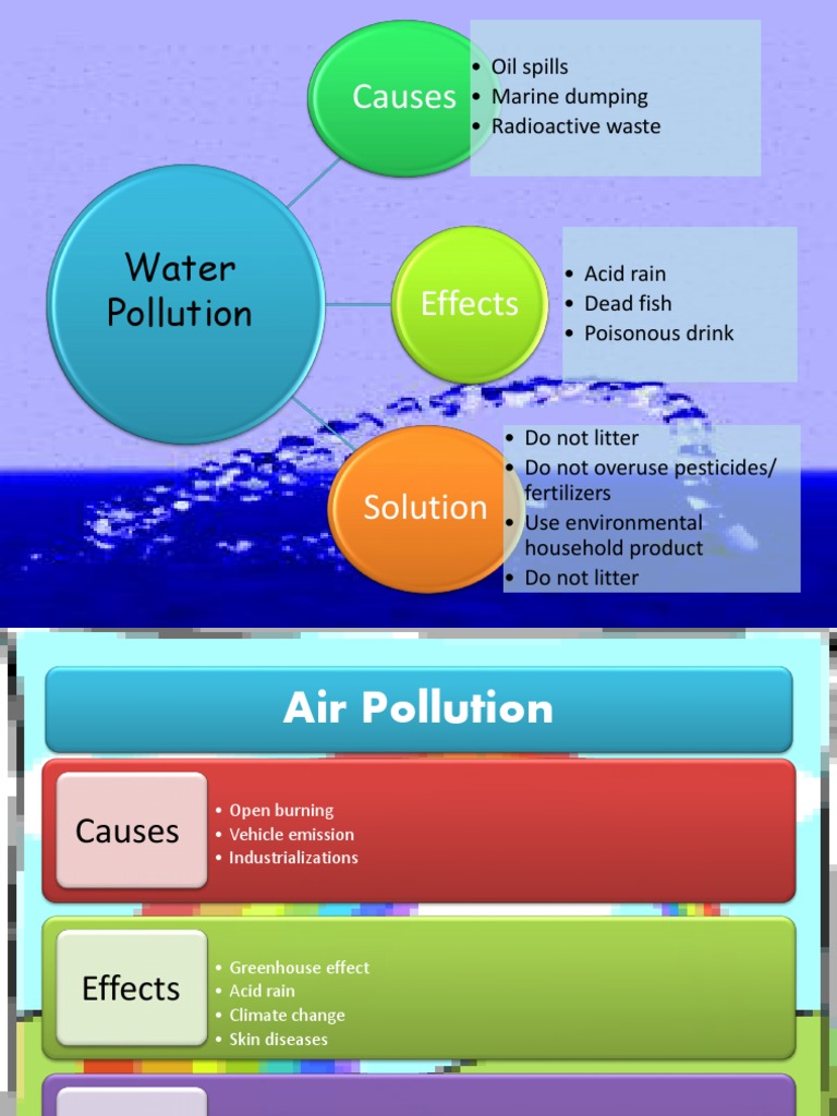 Graphic Organize Pollution | PDF | Pollution | Waste