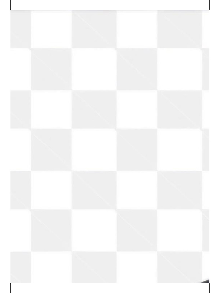 Rasterbation | PDF