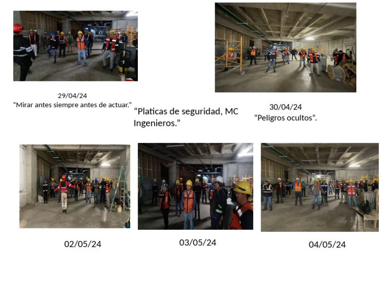 Platica de Seguridad Carla | PDF