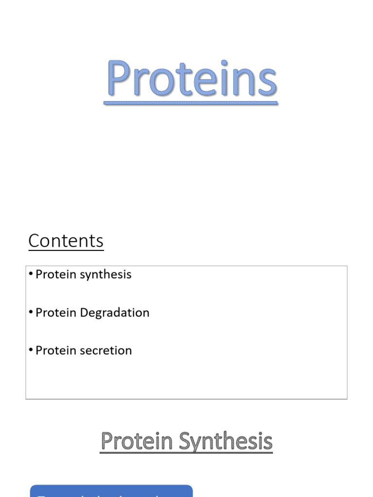 Understanding Protein Synthesis and Function | PDF | Translation ...