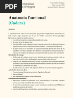 Articulación Coxofemoral Cuadro Integrador | PDF | Rodilla | Cadera