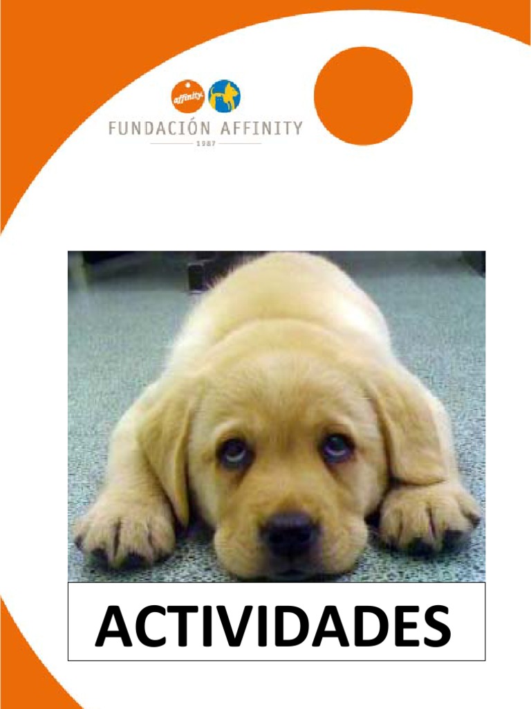 Perro de Terapia | PDF | Juguetes | Ejercicio físico