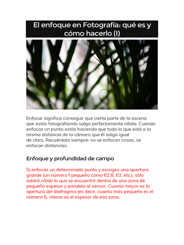El enfoque en Fotografía | PDF | Cámara | Abertura