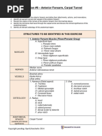 Palmar Approach - Modified Henry Approach | PDF | Hand | Human Anatomy