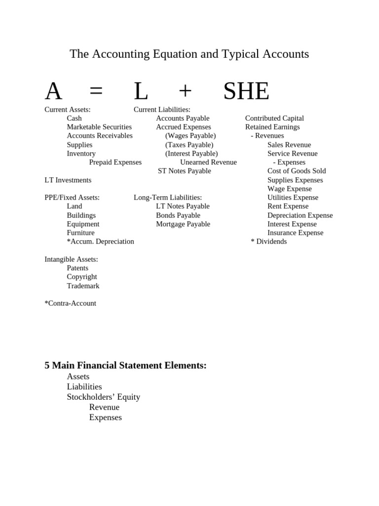The+Accounting+Equation+and+Typical+Accounts | PDF