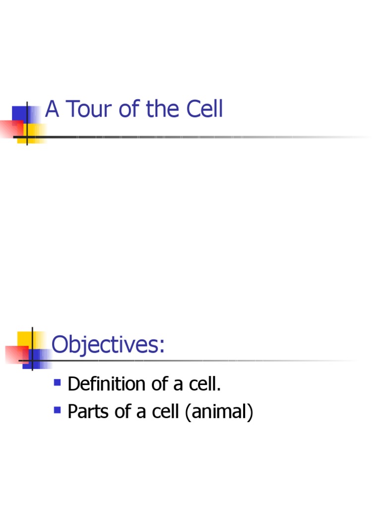 A Tour of The Cell | PDF
