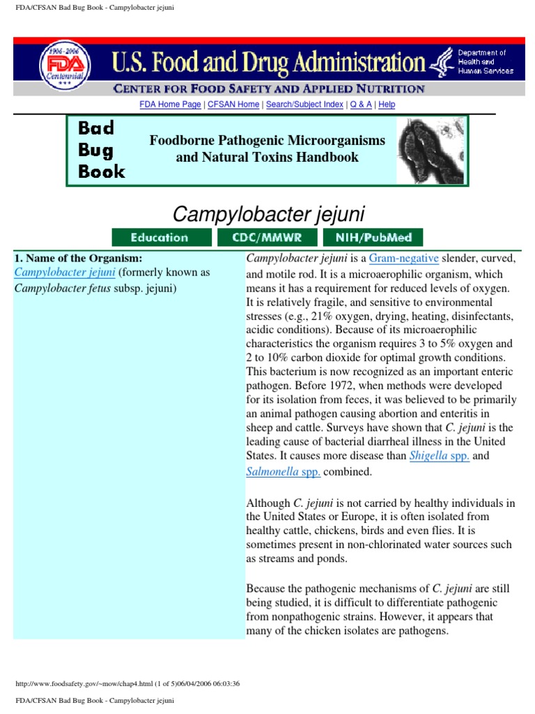 Campylobacter Jejuni | PDF | Diarrhea | Public Health