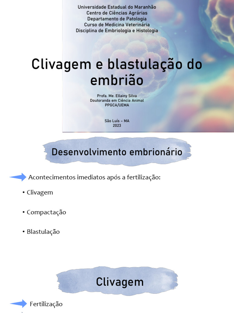 Clivagem e Blastulação Embrionária | PDF | Embrião | Reprodução