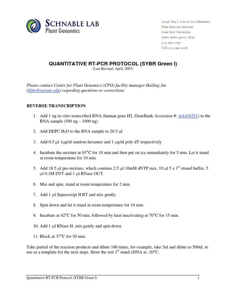 Quantitative RT-PCR Protocol (Sybr Green I) | PDF | Real Time ...
