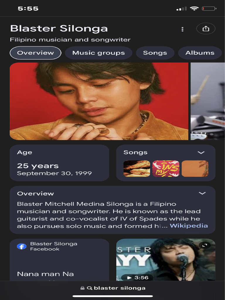 Blaster Silonga (IVOS Member) | PDF