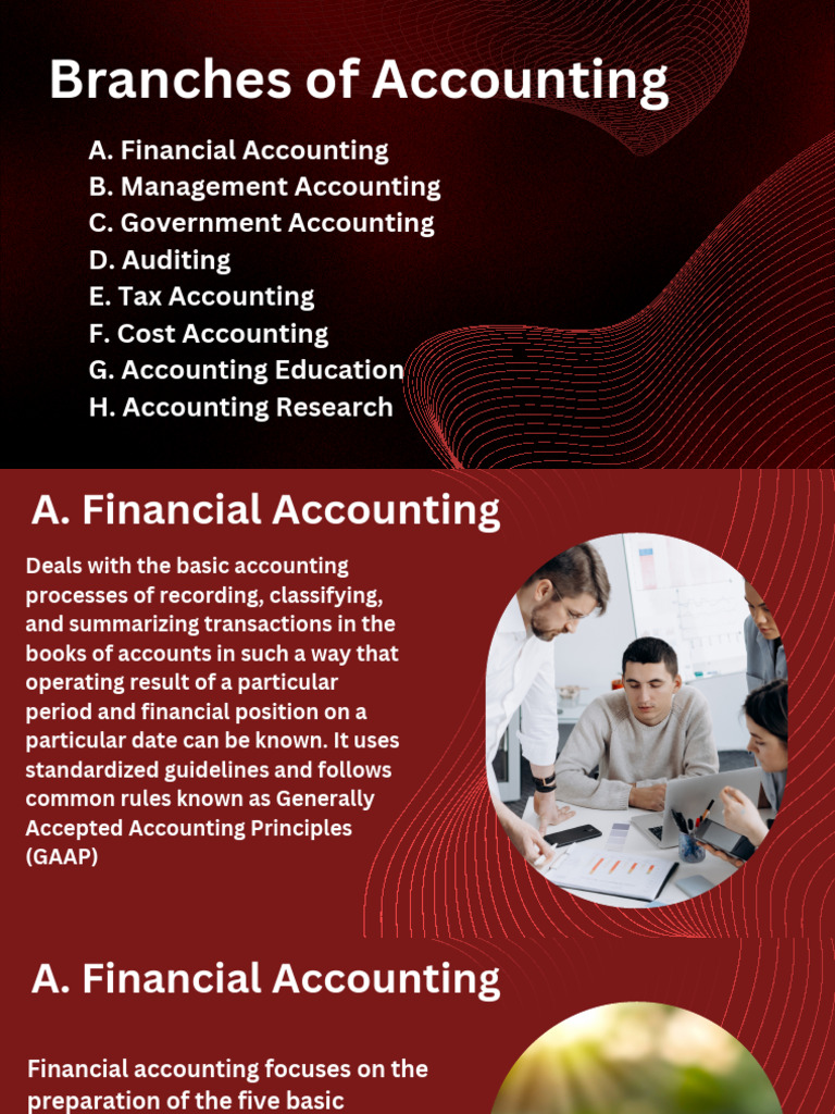 Overview of Accounting Branches | PDF | Accounting | Audit