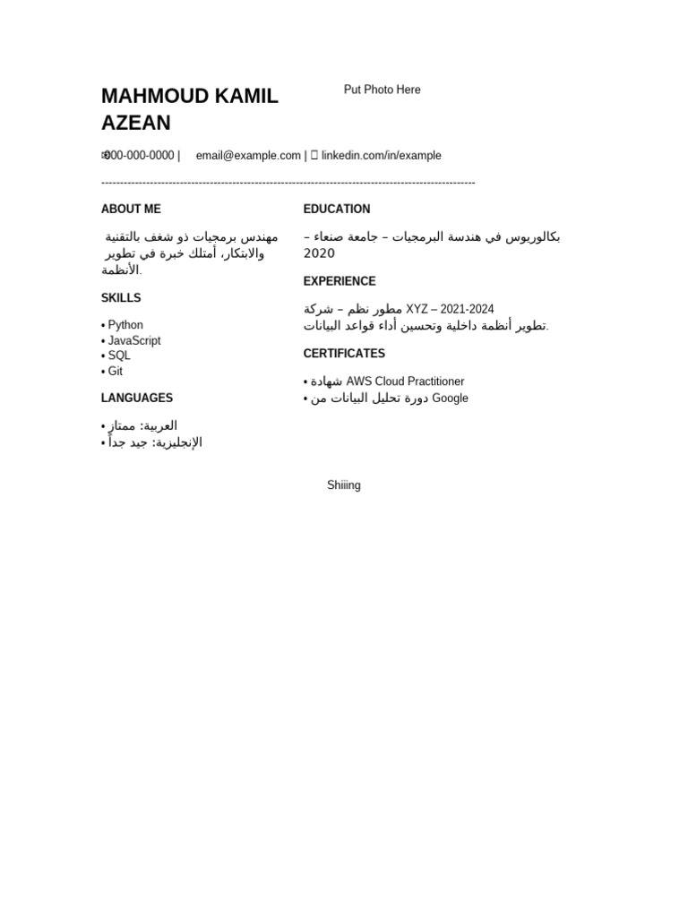 CV Styled Template Mahmoud | PDF