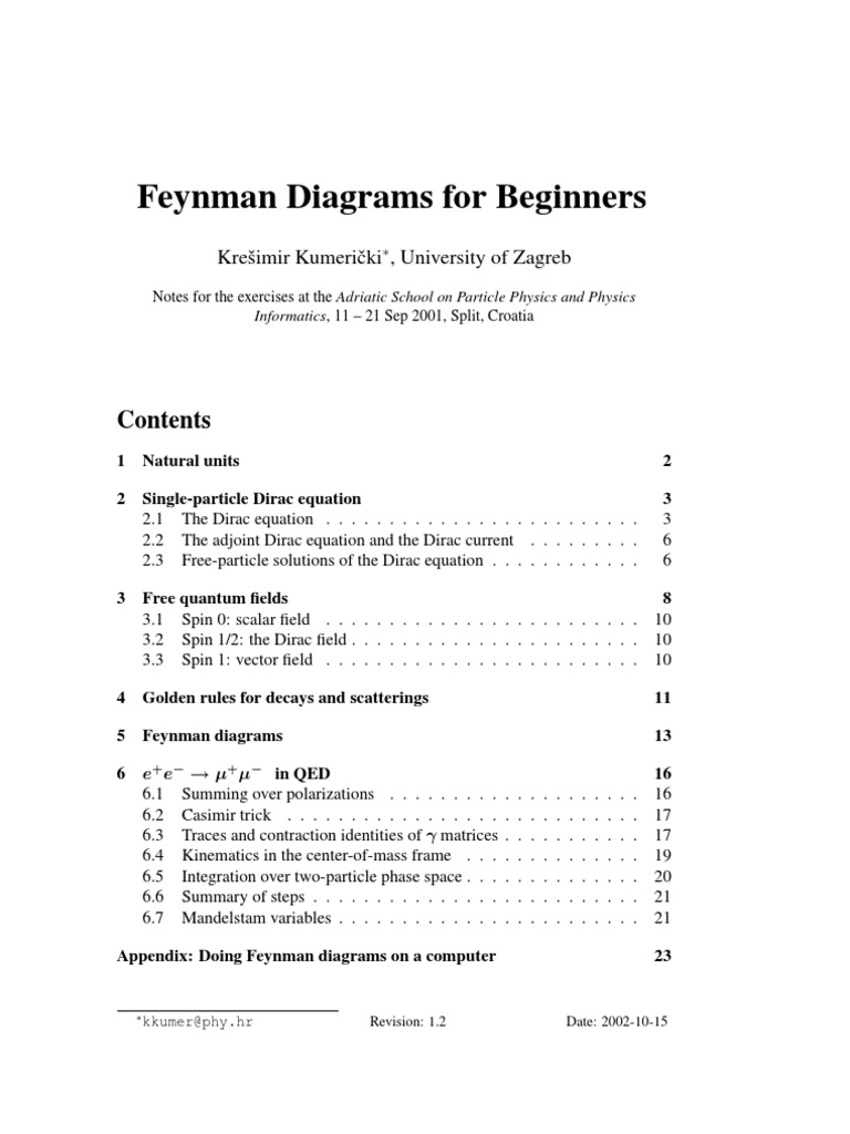 Feynman For Beginners | PDF | Wave Function | Quantum Electrodynamics