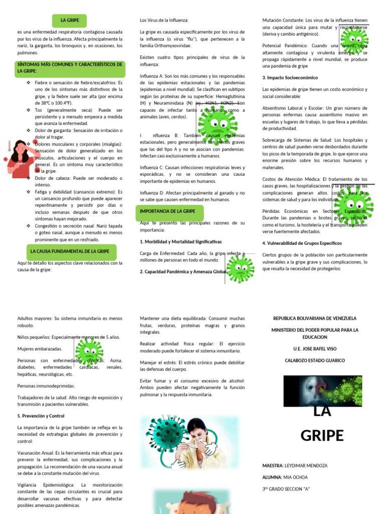Qué es la gripe y sus síntomas | PDF | Influenza | Virus de la ...