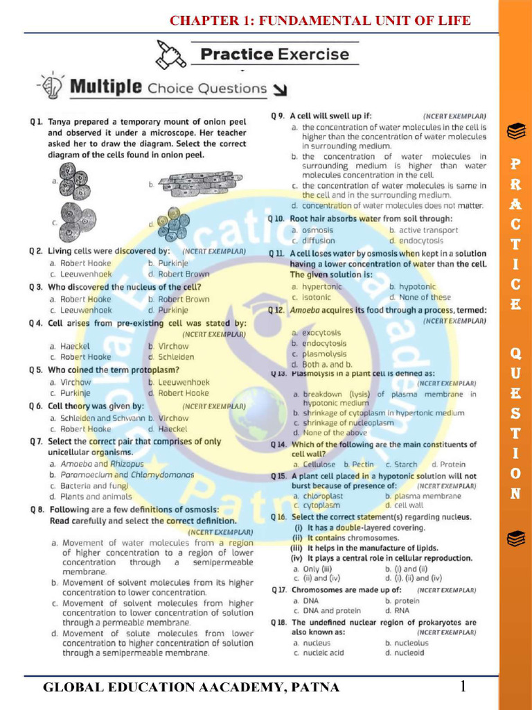9TH Biology Assignment Chapter 1 | PDF