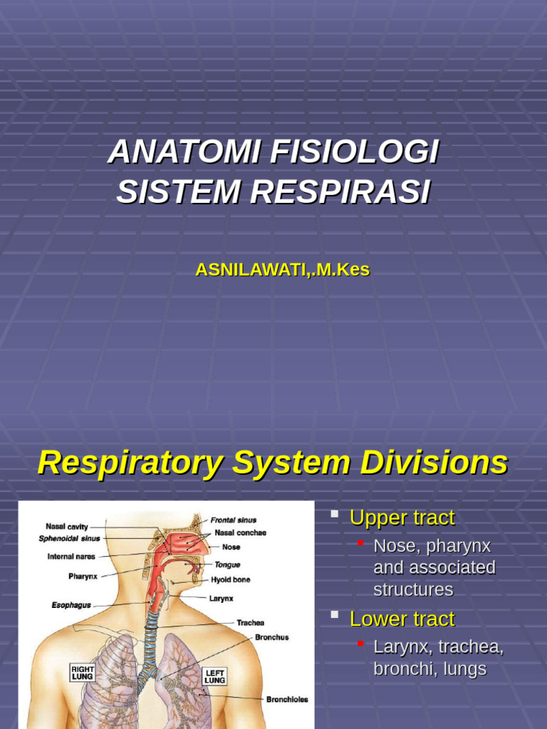Fisiologi Sistem Respirasi [Autosaved] | PDF