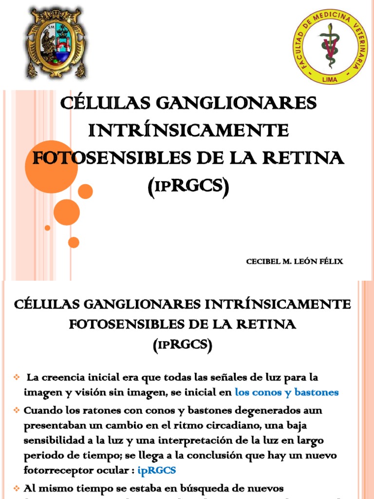 Funciones de la melanopsina en ipRGCs | PDF | Visión | Anatomia animal