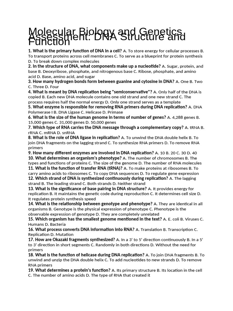 DNA Structure and Function Assessment | PDF | Dna | Dna Replication
