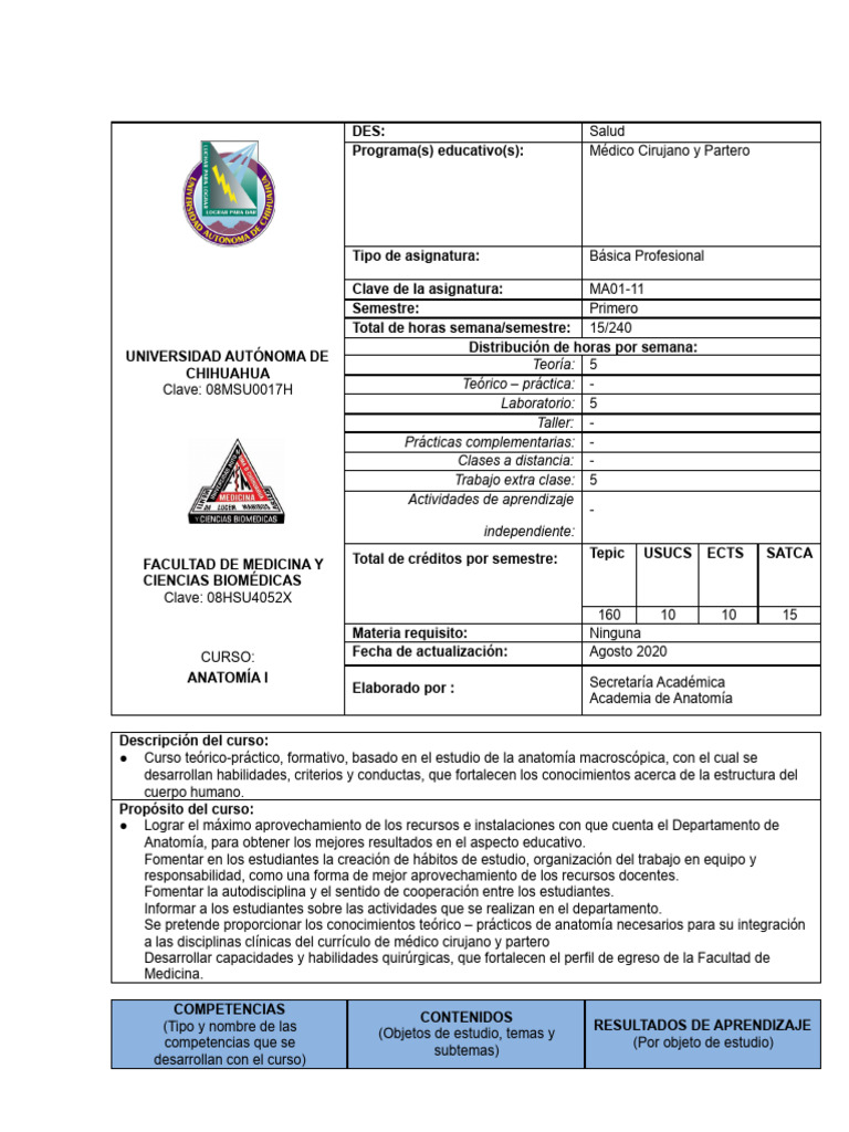 Anatomía I: Curso de Medicina Básica | PDF | Pierna humana | Cráneo
