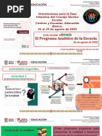 Esquema Programa Analitico Secundaria 2025-2026 | PDF | Aprendizaje | Inclusión (Educación)