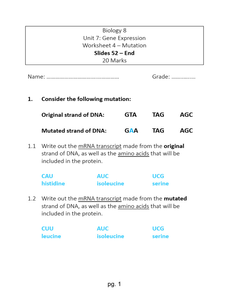 Gene Expression and Mutation Worksheet | PDF | Point Mutation | Amino Acid