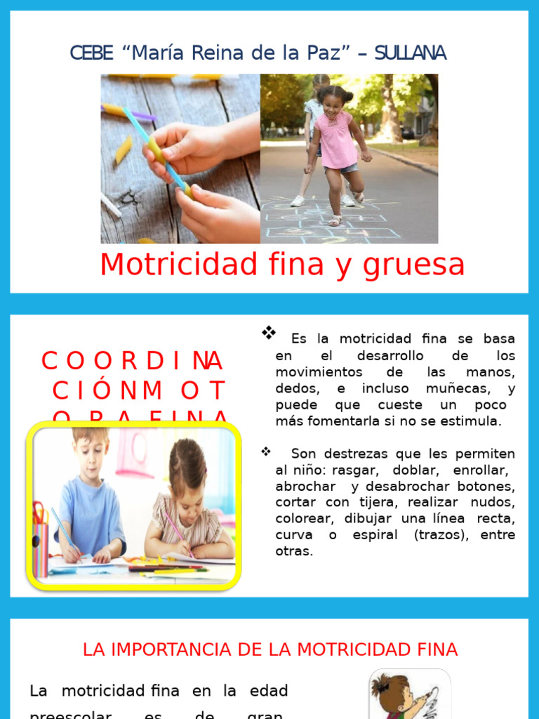 Coordinacion Motora Gruesa y Fina - EXPOSICION | PDF