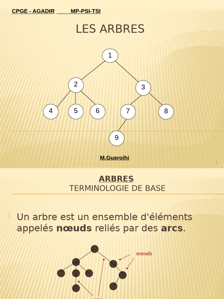 Les Arbres | PDF | Algorithmes et structures de données