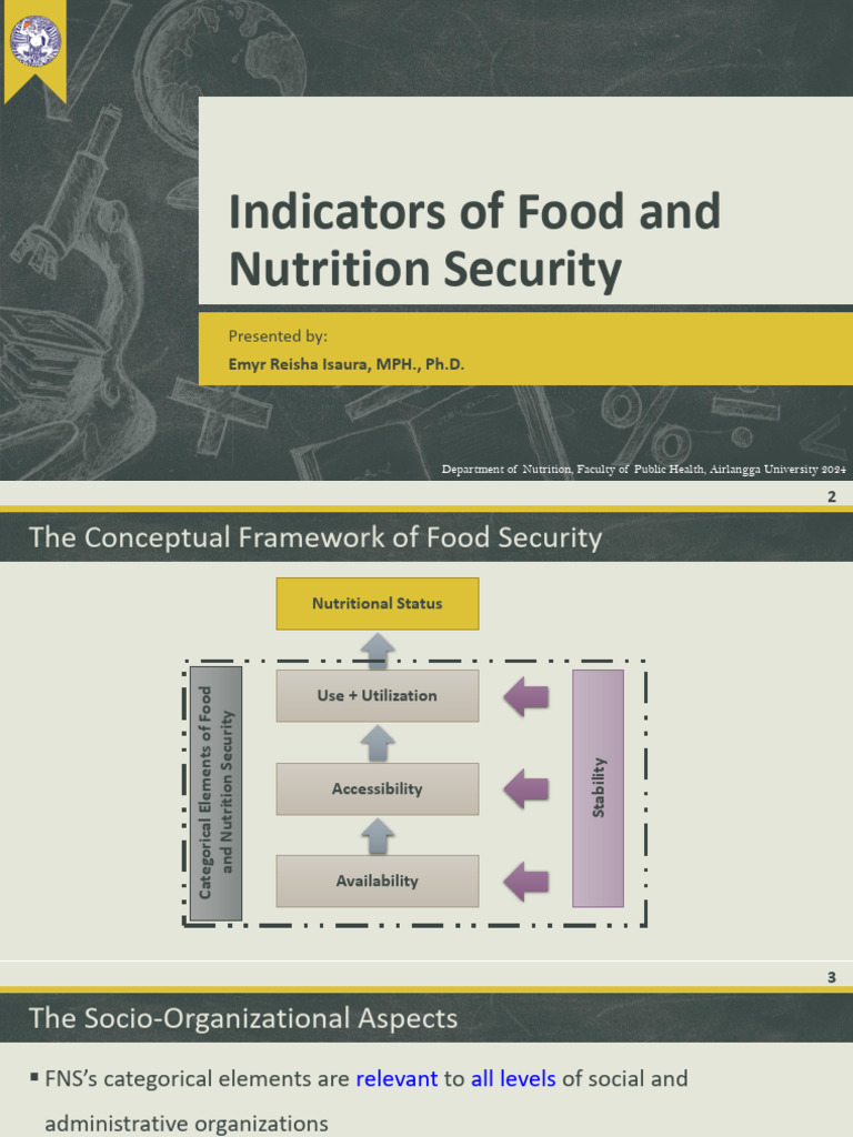 Food Security Indicators Overview | PDF | Human Nutrition ...