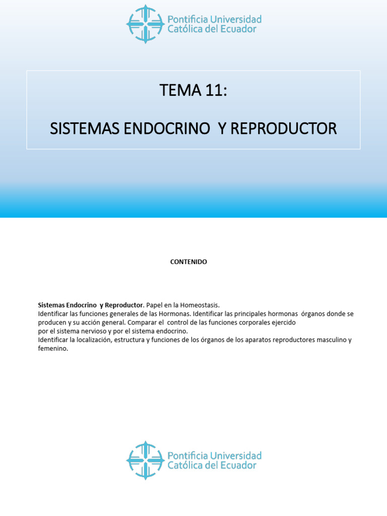 Sistemas Endocrino y Reproductor: Funciones Clave | PDF | Sistema ...