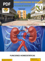 Anatomía y Función Del Túbulo Contorneado Distal (Autoguardado) | PDF ...