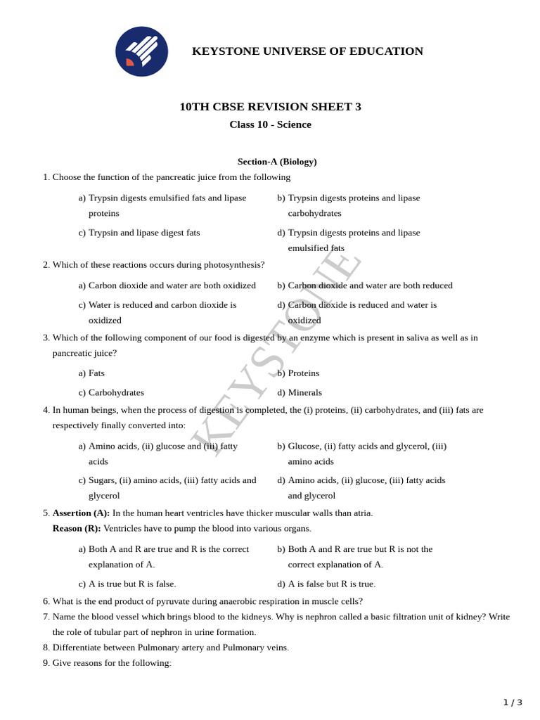 Class 10 Science CBSE Revision Sheet | PDF | Digestion | Chemical Reactions