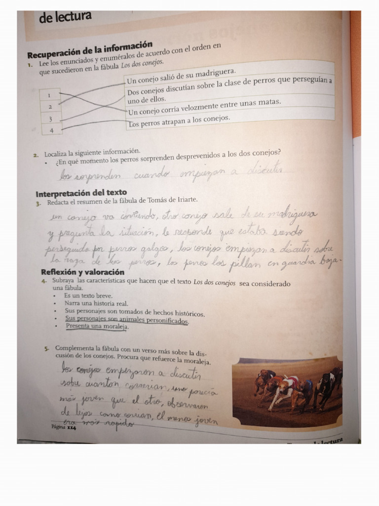 Lectura Comprensiva 2 | PDF