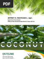 Coconut Varieties: Tall vs Dwarf | PDF | Coconut | Botany