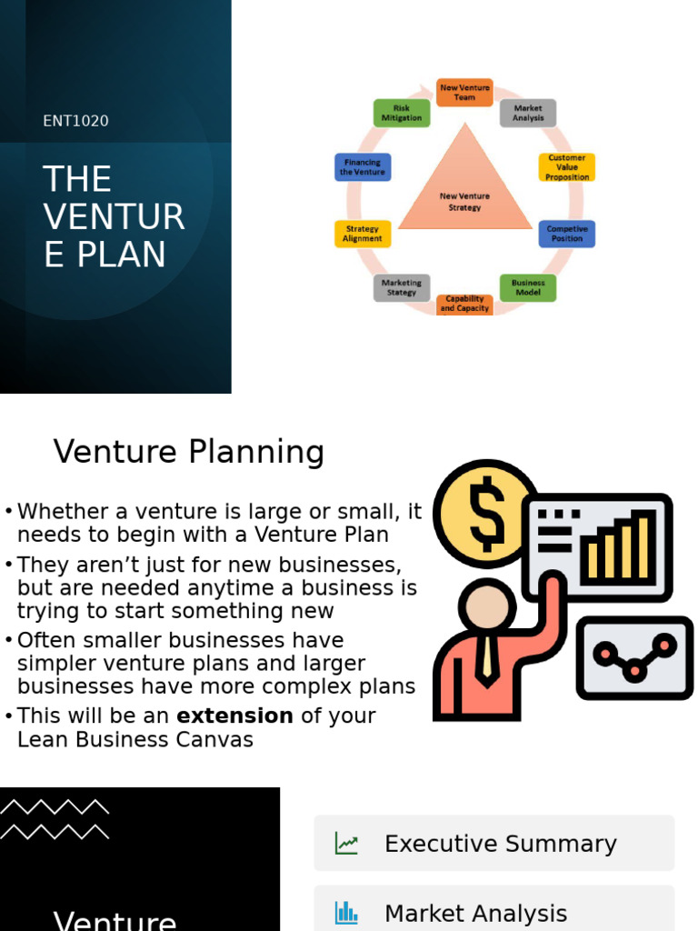 Venture Plan Overview and Structure | PDF | Investing | Marketing