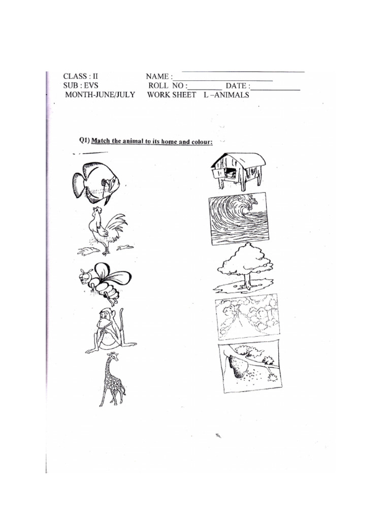 CBSE Class 2 EVS Practice Worksheets (10) - Animals | PDF