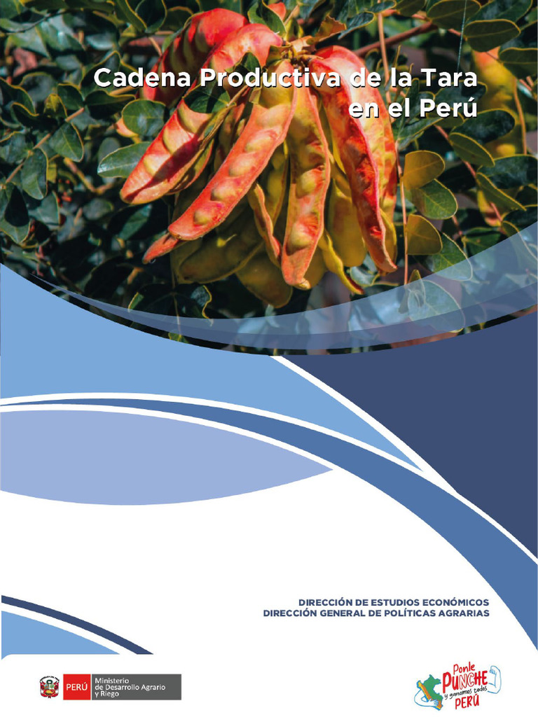 Cadena Productiva de la Tara en Perú | PDF | Perú | Mercado (economía)