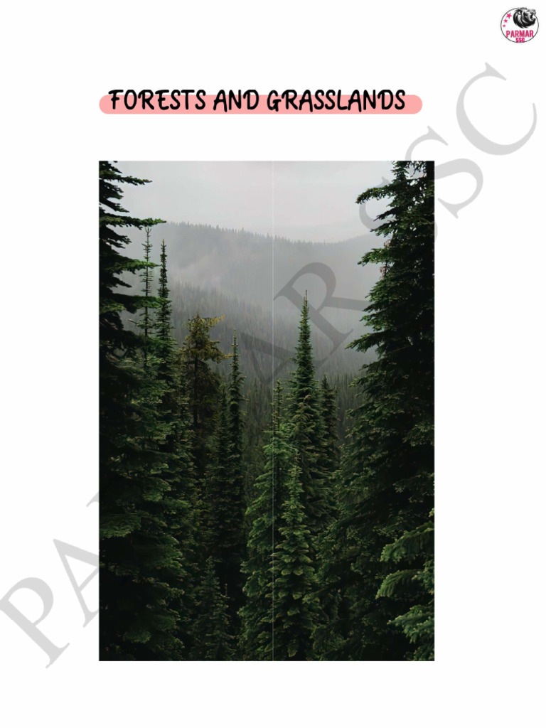 Forests Pdf