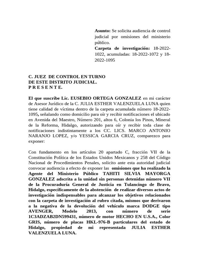 Control Judicial | PDF