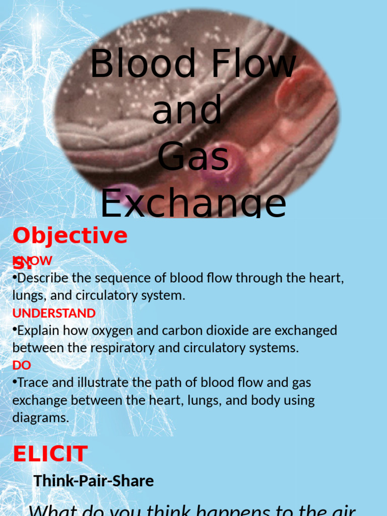 Science 9 Quarter 1 Blood Flow | PDF | Circulatory System | Heart