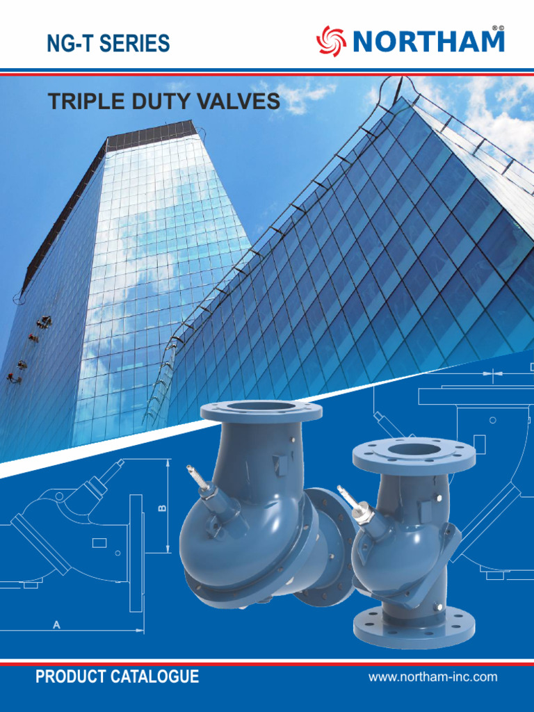 Northam NG-T Series Valve Overview | PDF | Valve | Pump