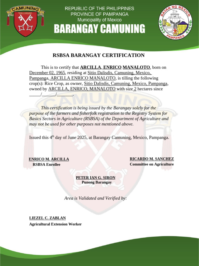 Rsbsa Certificate | PDF