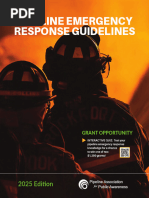 Maritime Ranks and Ship Hierarchy | PDF | Sea Captain | Water Transport