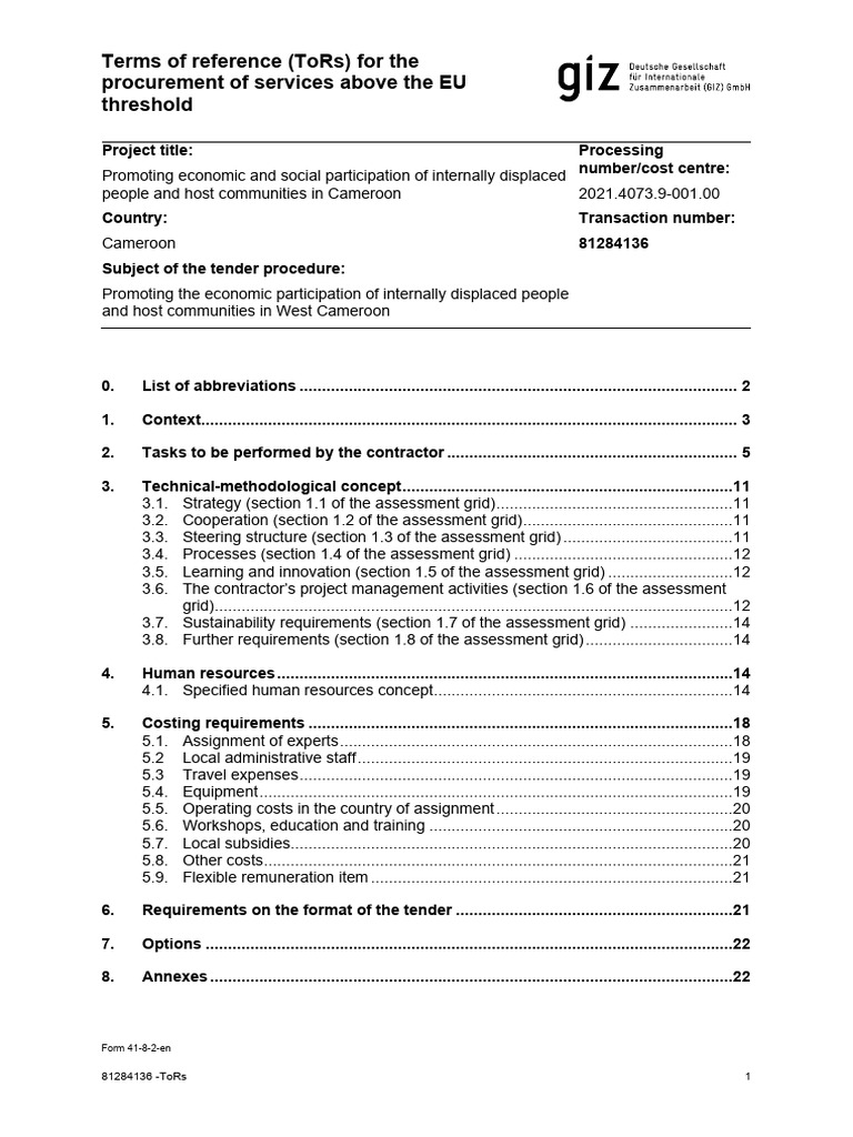 03 81284136 Terms of Reference | PDF | Internally Displaced Person ...