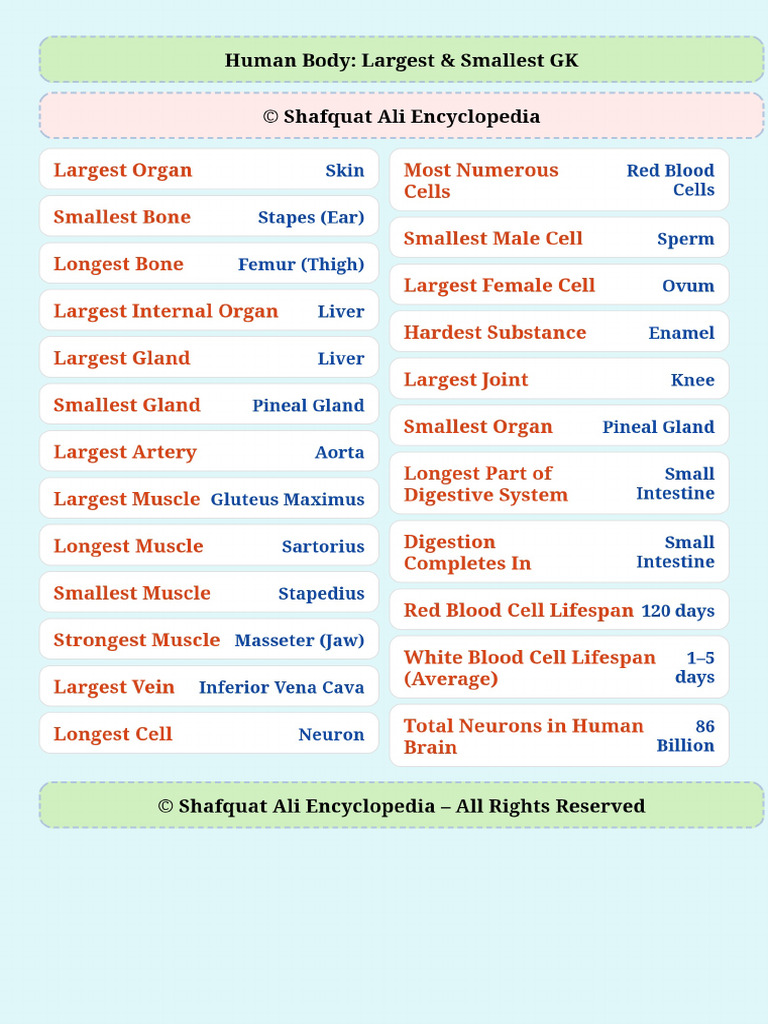 1.1 Human Body GK | PDF