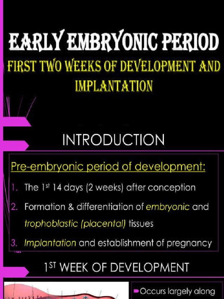 Early Embryonic Period First Two Weeks of Development | PDF